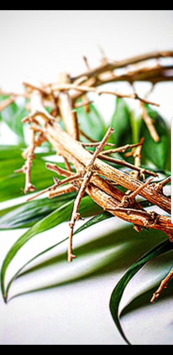 Palm Sunday: A Catholic Reflection – One Voice for Jesus Ministries